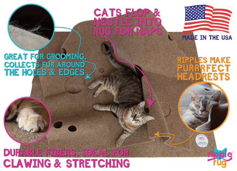 Snuggly Cat – My Cat Made Me To It